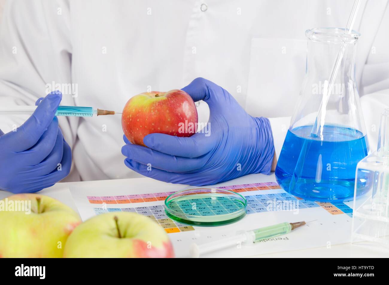 Technician uses a syringe. Genetic GMO modification of fruits and ...