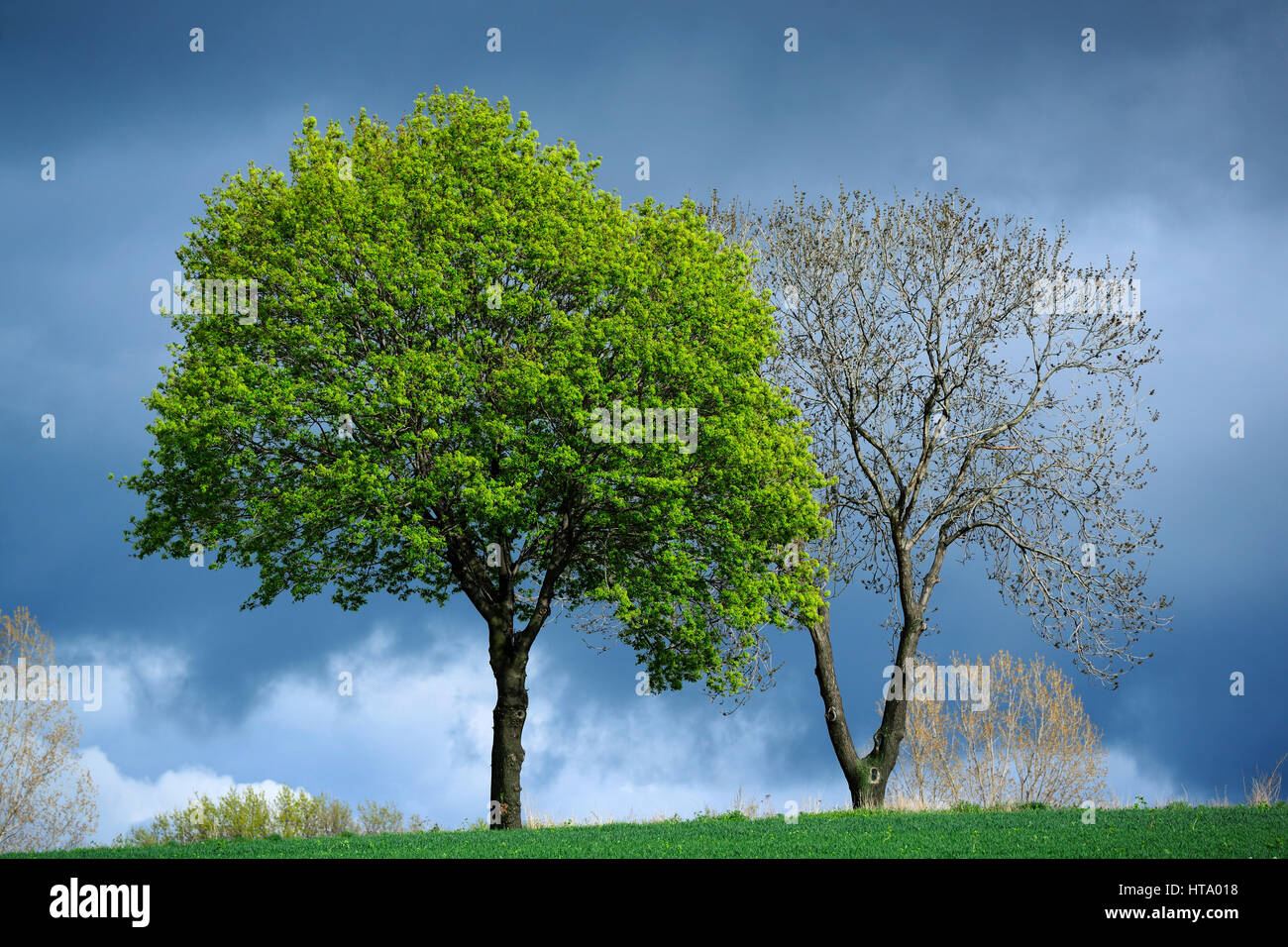 Climate visual hi-res stock photography and images - Alamy