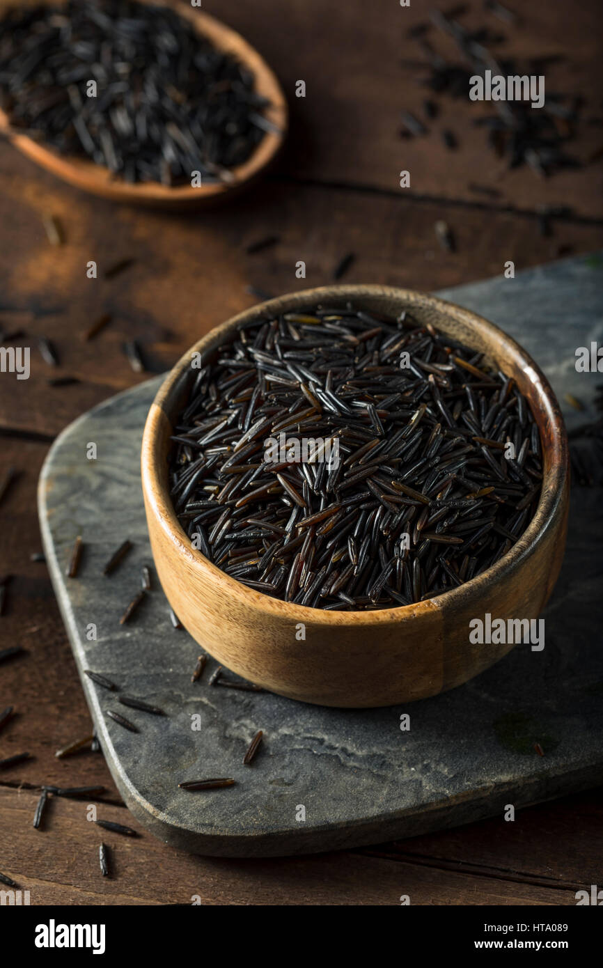 Black wild hi-res stock photography and images - Alamy