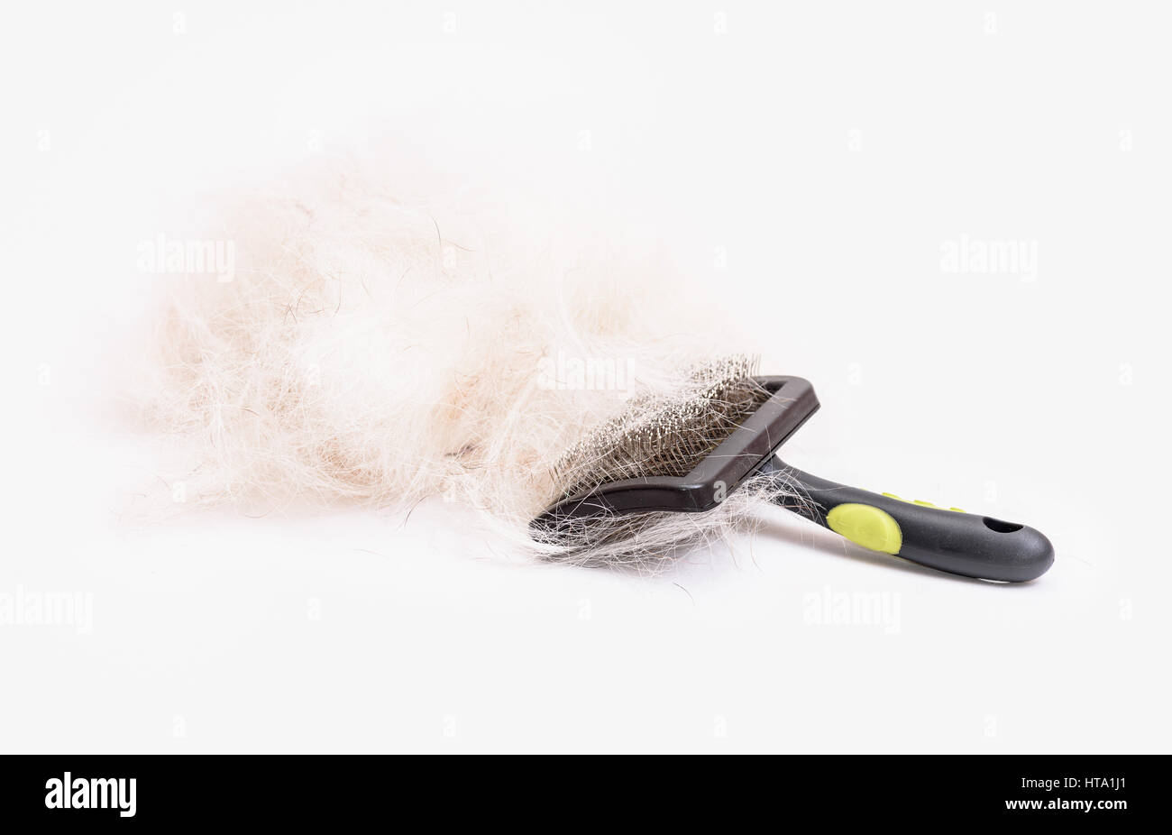 Professional grooming accessory: brush and heap of dog fur Stock Photo ...