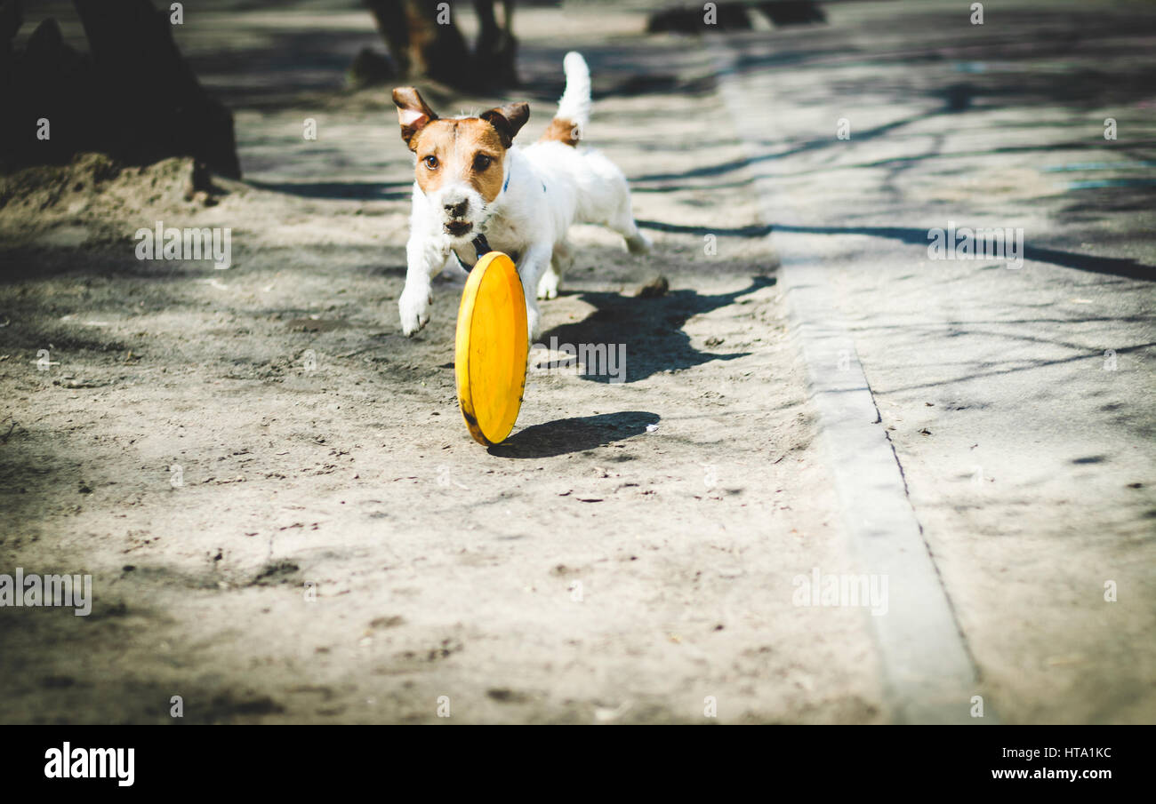 Plastic disc hi-res stock photography and images - Alamy