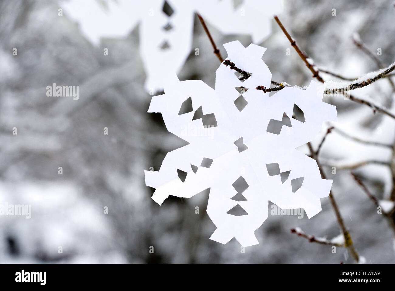 Paper snowflake hanging on a tree Stock Photo - Alamy