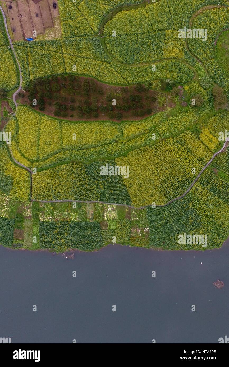 Hunan, China. 8th Mar, 2017. Aerial photography of blooming rapeseed ...