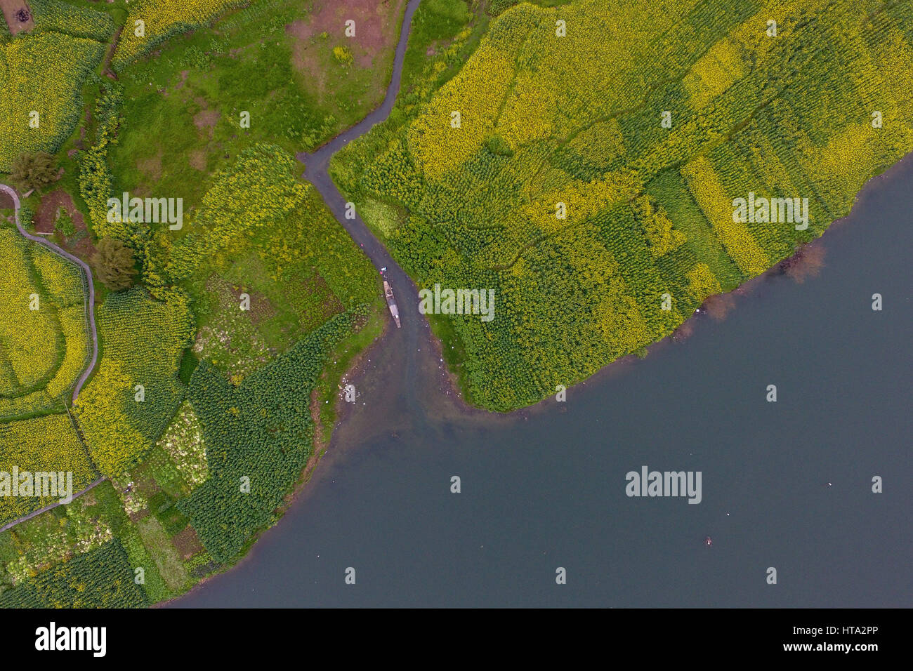 Hunan, China. 8th Mar, 2017. Aerial photography of blooming rapeseed ...