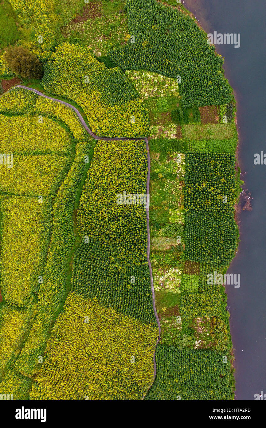 Hunan, China. 8th Mar, 2017. Aerial photography of blooming rapeseed ...