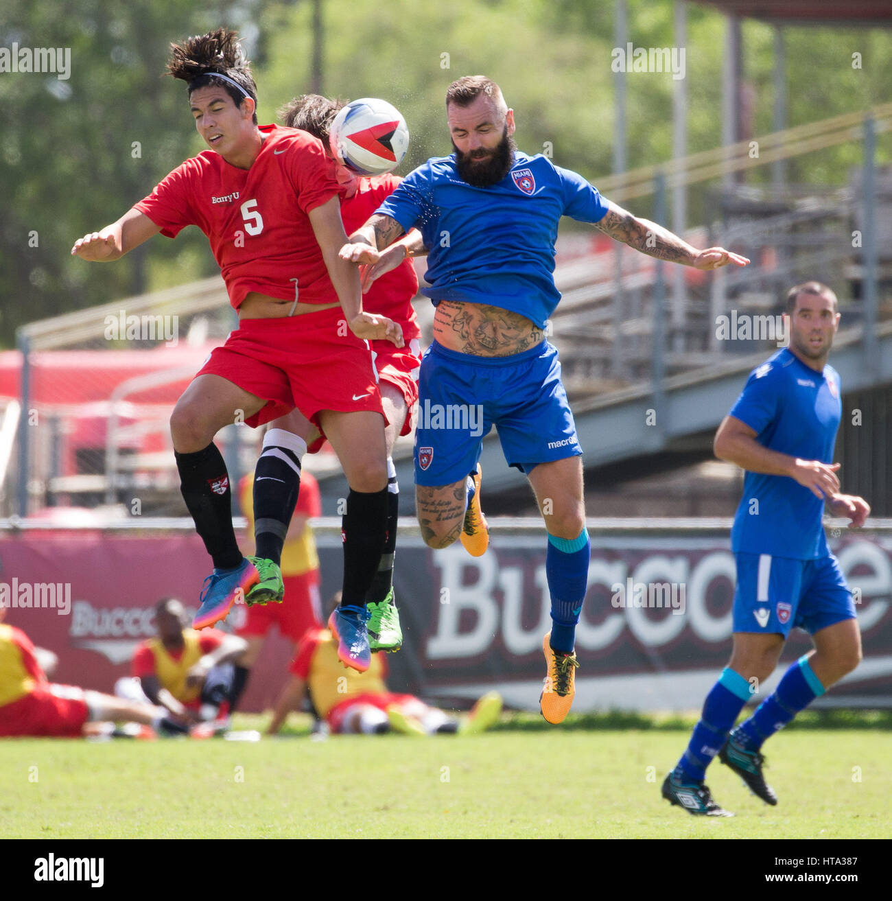 University of florida soccer stadium hi-res stock photography and ...