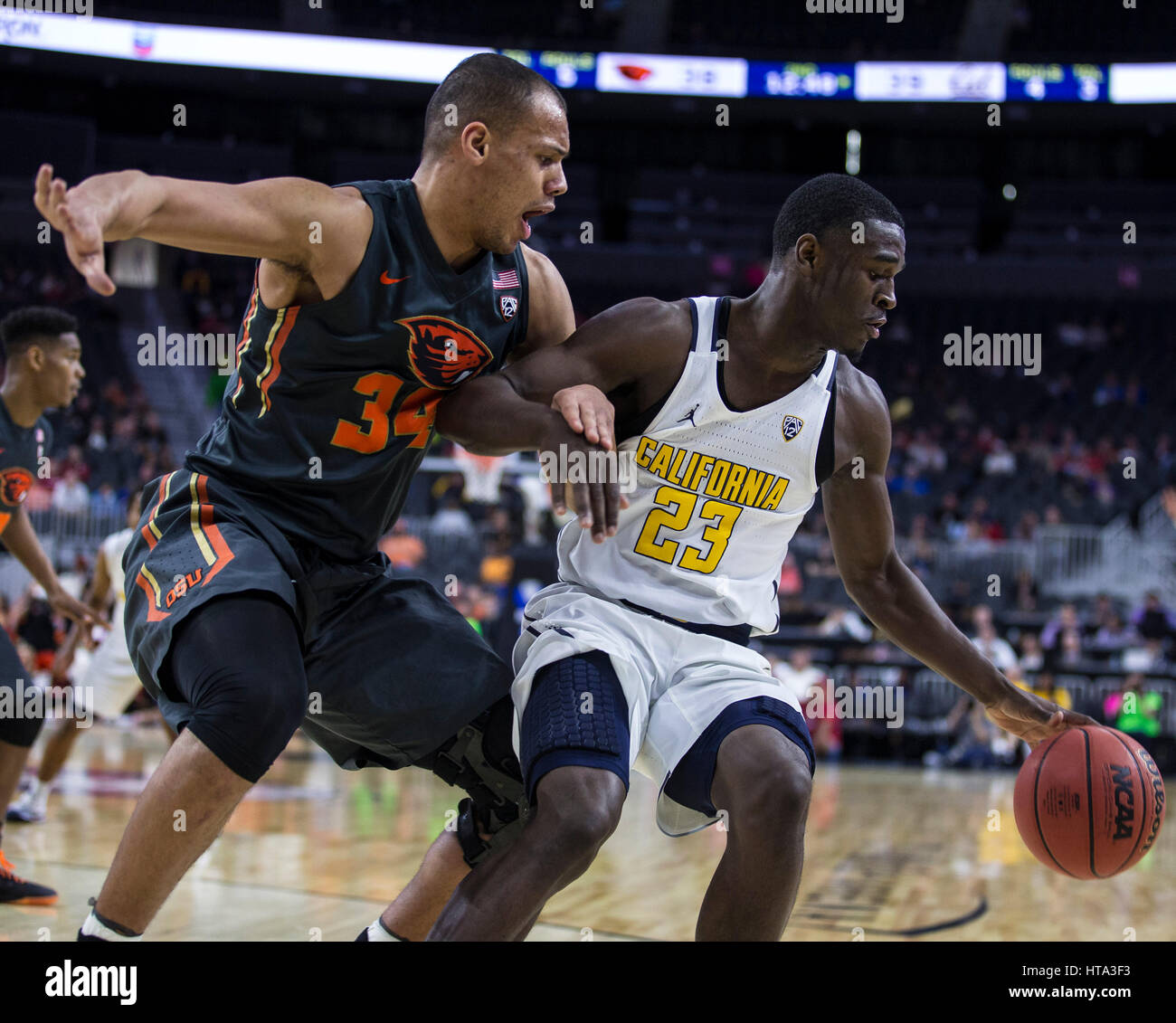 Jabari bird hi-res stock photography and images - Alamy