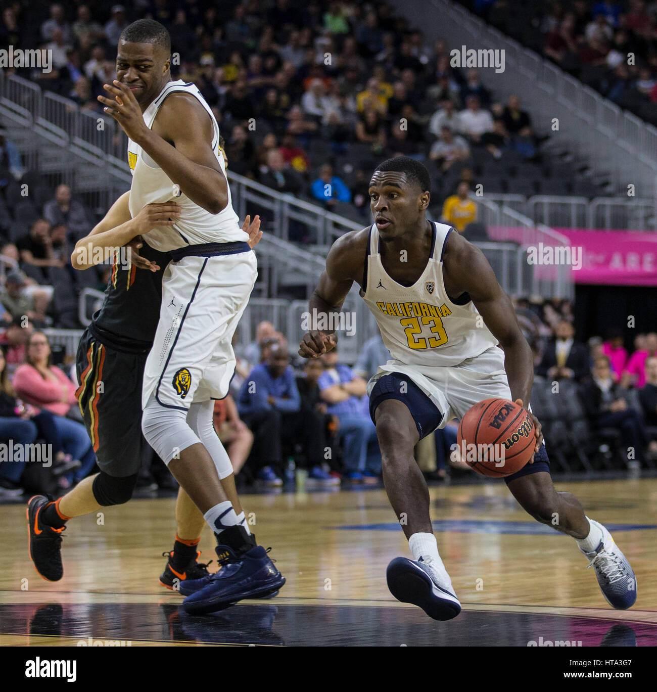 Jabari bird hi-res stock photography and images - Alamy