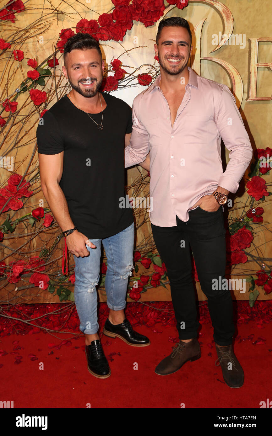 Alfie arcuri hi-res stock photography and images - Alamy