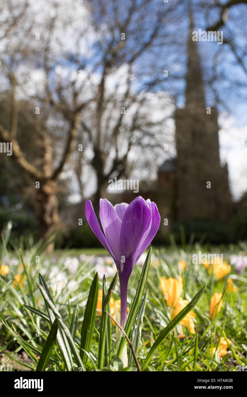 London, UK. 9th Mar, 2017.UK weather. Beautiful, sunny, spring day in ...