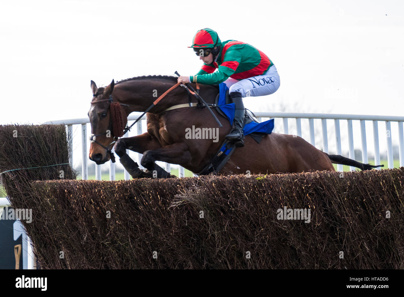 Wincanton horse hi-res stock photography and images - Alamy