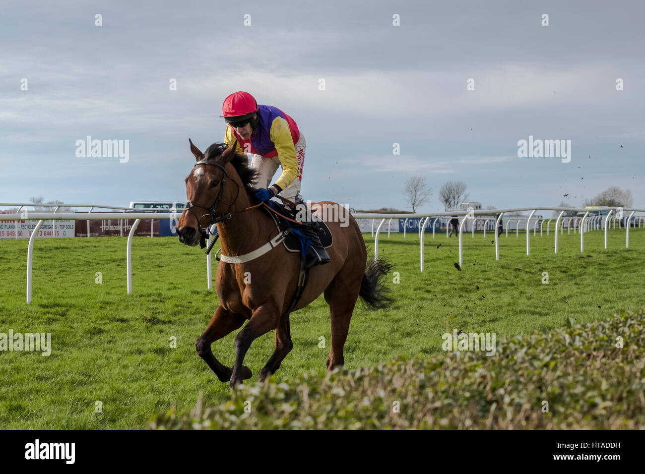 A glorious day at Wincanton Races Wincanton Stock Photo - Alamy