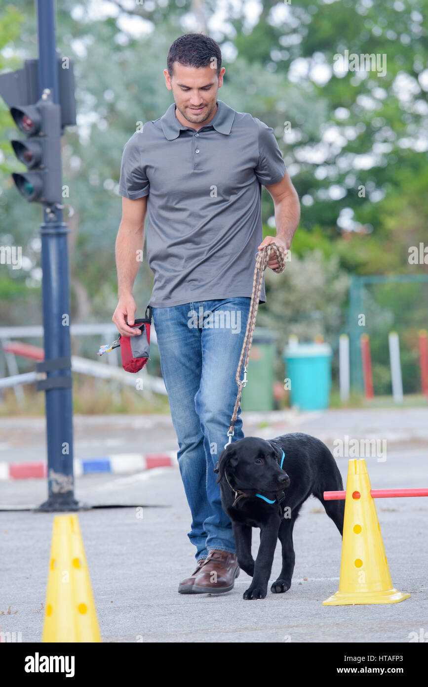 Professional guide dog trainer hi-res stock photography and images - Alamy