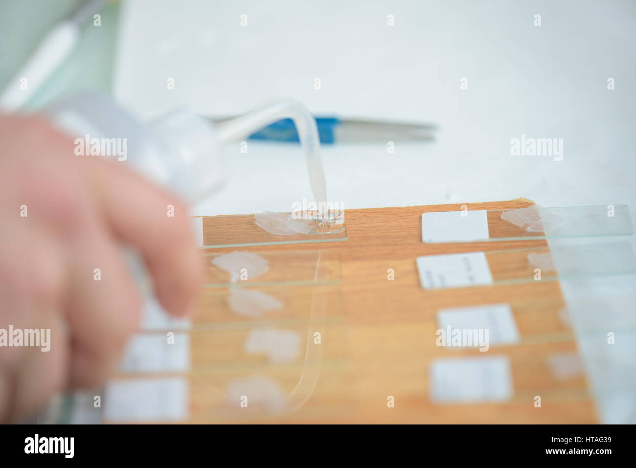 Microscope slide preparation hi-res stock photography and images - Alamy