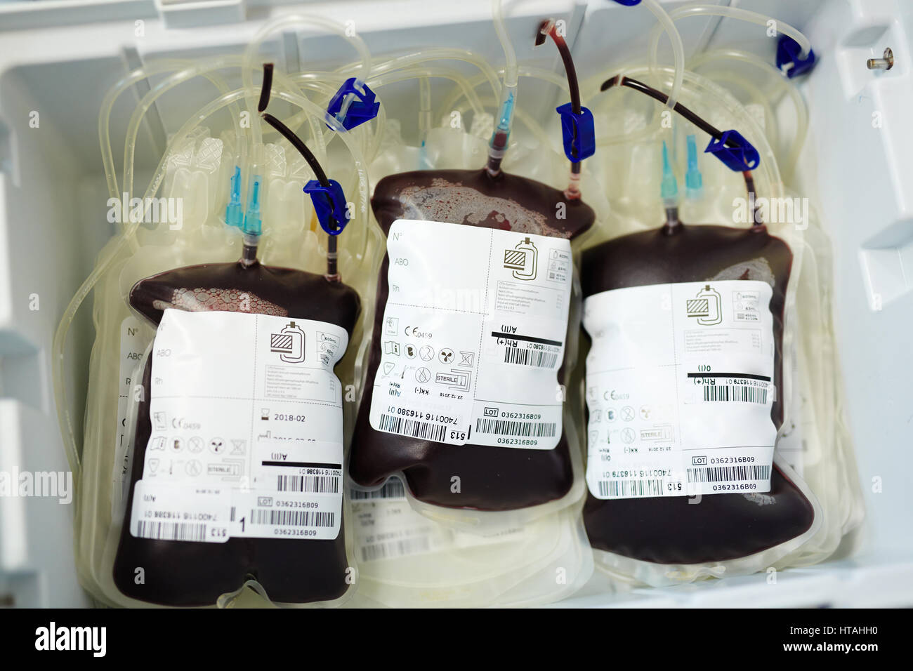 Plastic bags with blood in container Stock Photo - Alamy