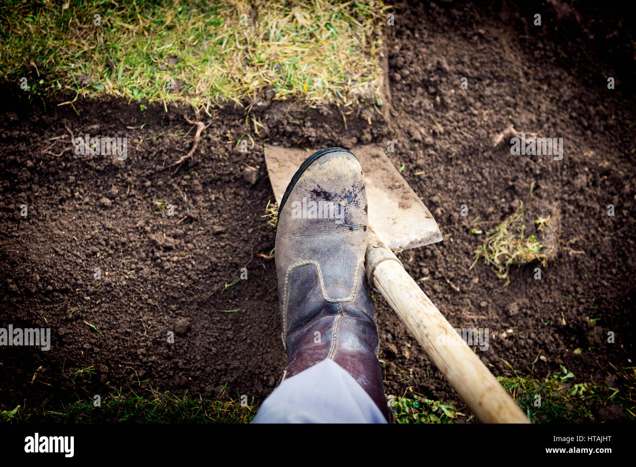 Man using garden spade hi-res stock photography and images - Alamy