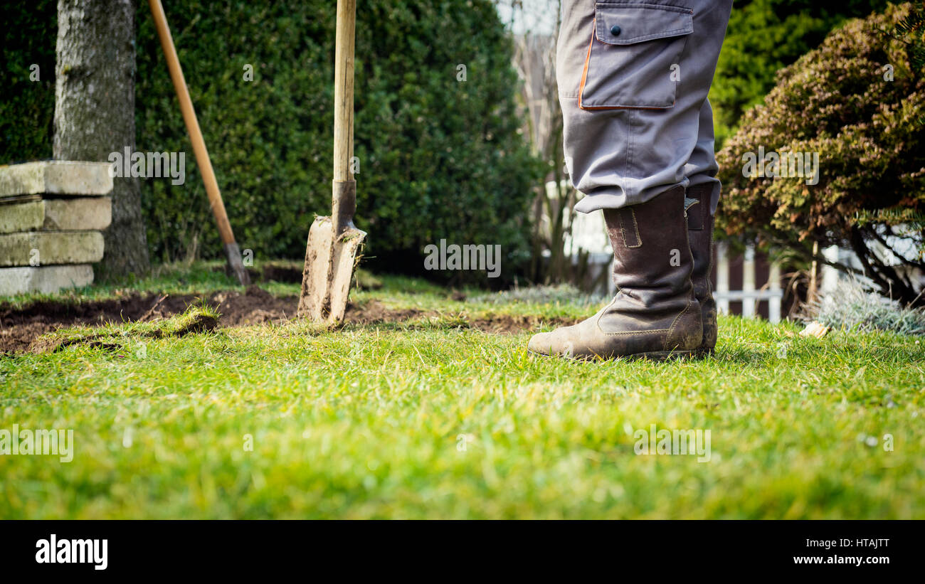 Man using spade for old lawn digging Stock Photo - Alamy