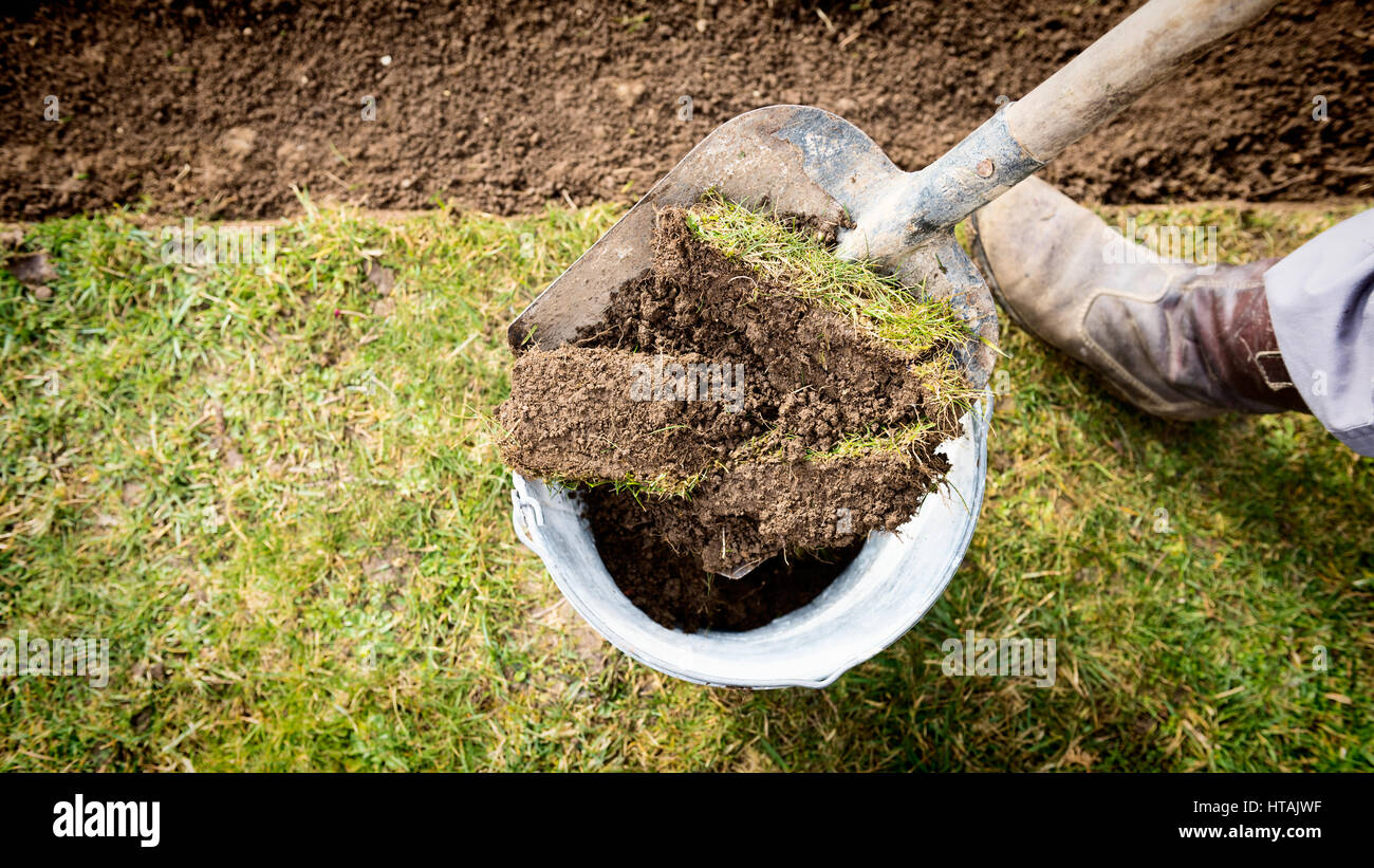 Man using spade for old lawn digging Stock Photo - Alamy