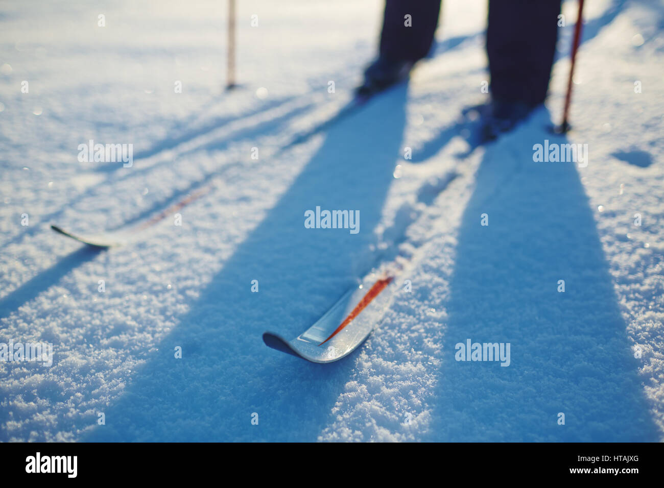 Human standing on skis in snowdrift Stock Photo - Alamy