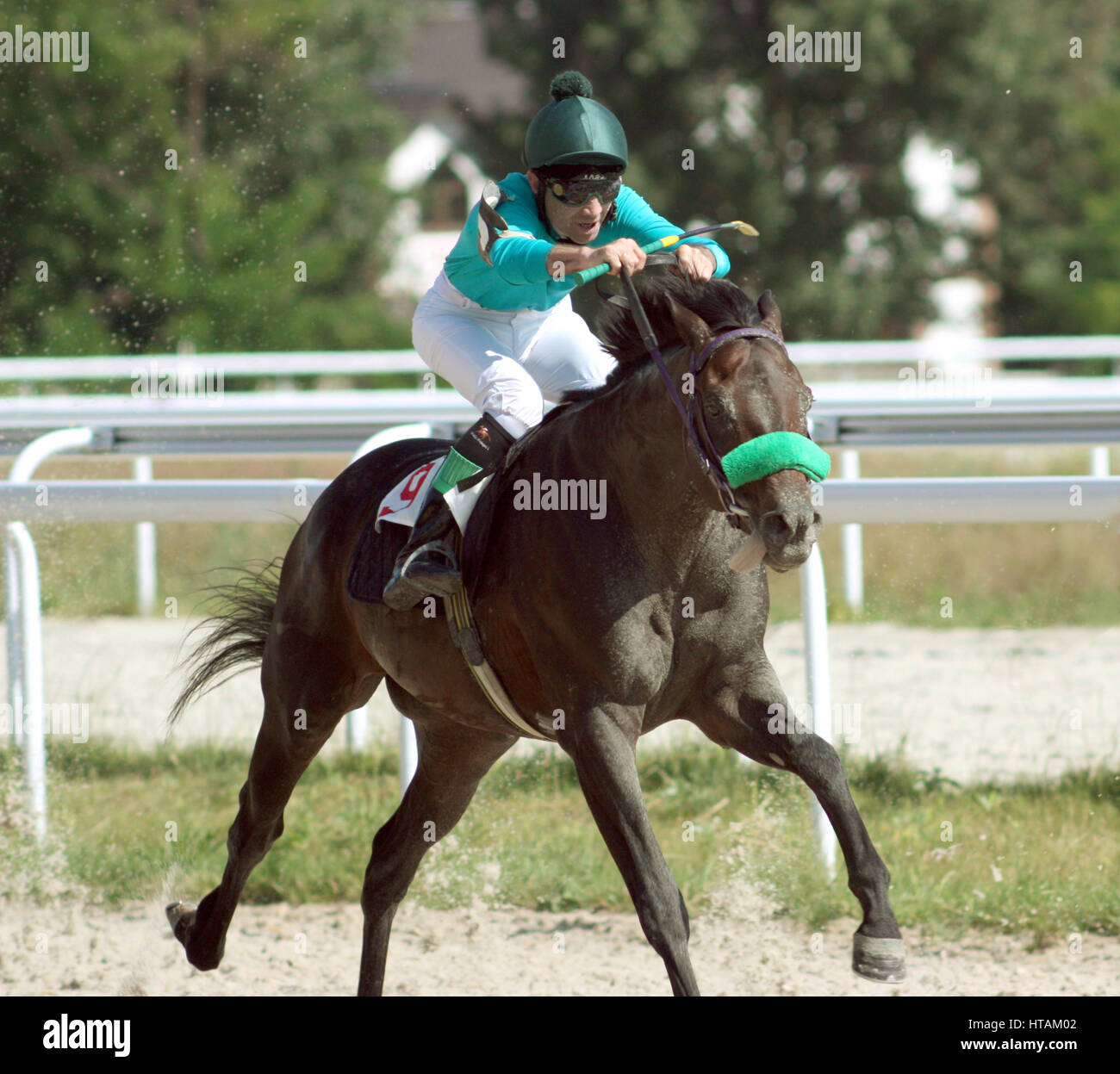 A racehorse and jockey cross the finish line first in a horse race ...