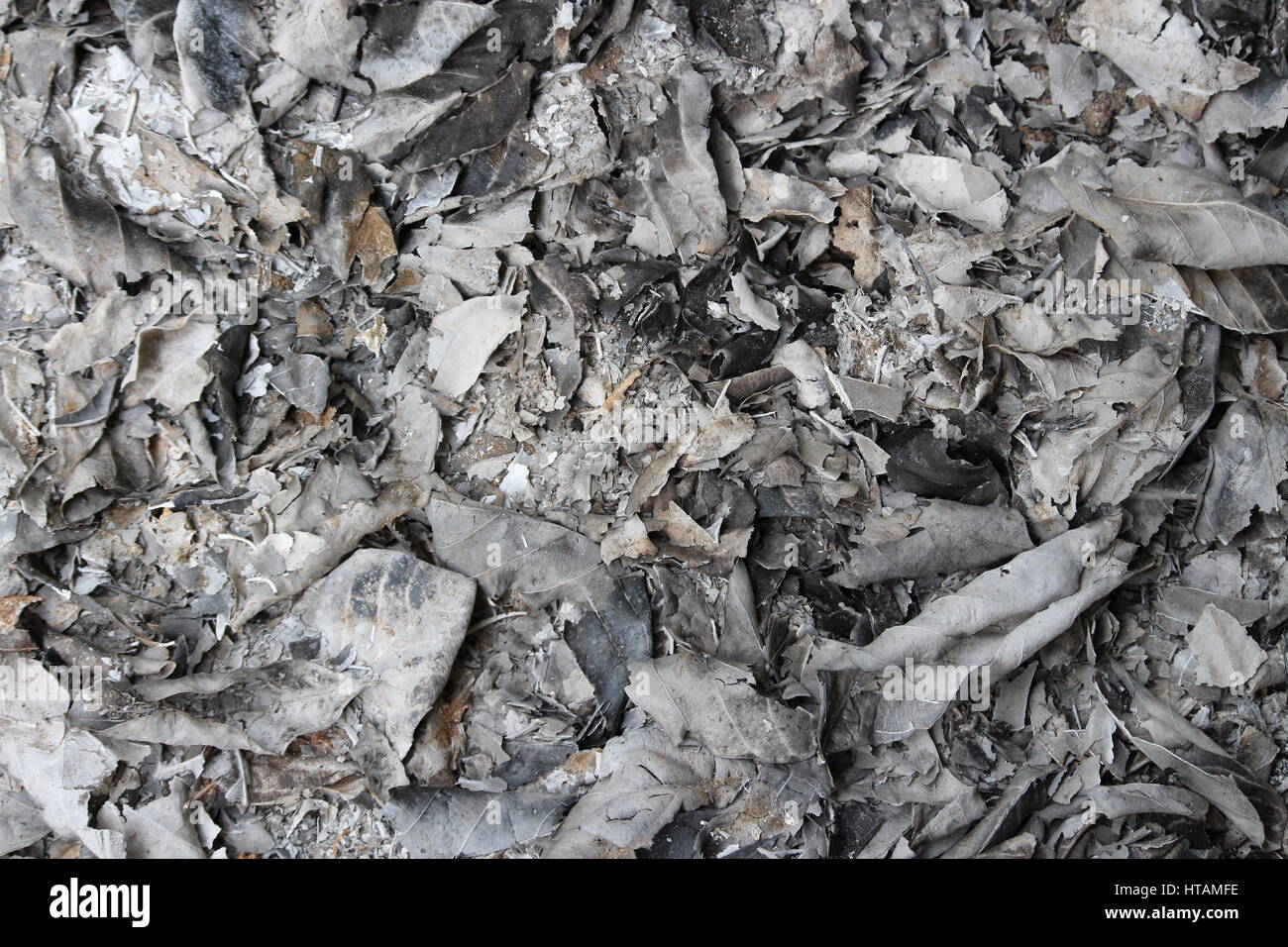 Repentance ashes hi-res stock photography and images - Alamy