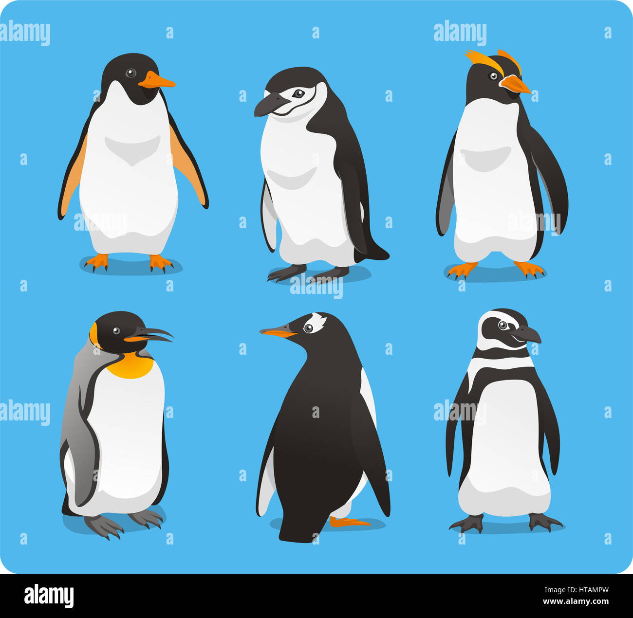 Standing Penguin Set Vector Illustration Stock Photo - Alamy