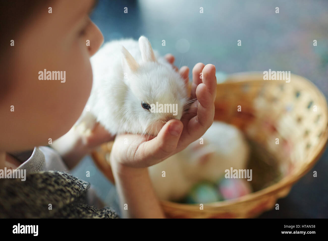 Little boy holding his white fluffy friend Stock Photo - Alamy