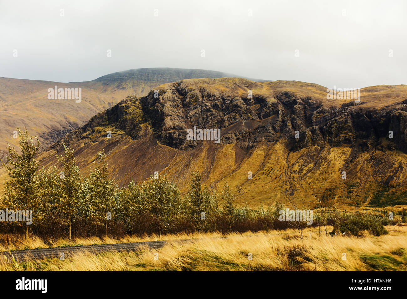 Mountains covered with poor vegetation and row of trees, grass and road ...