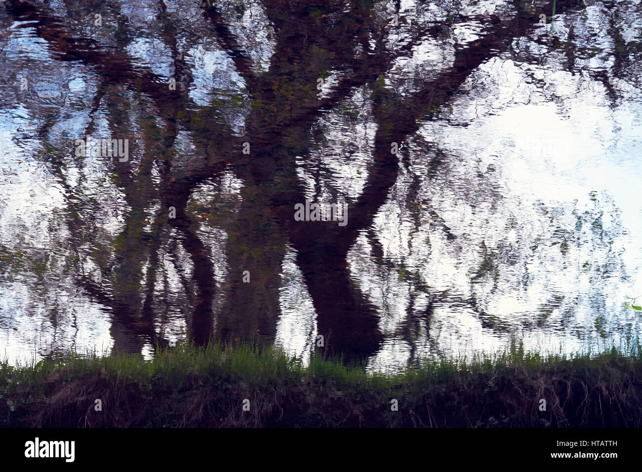 The abstract reflection of trees in a slow moving river Stock Photo - Alamy