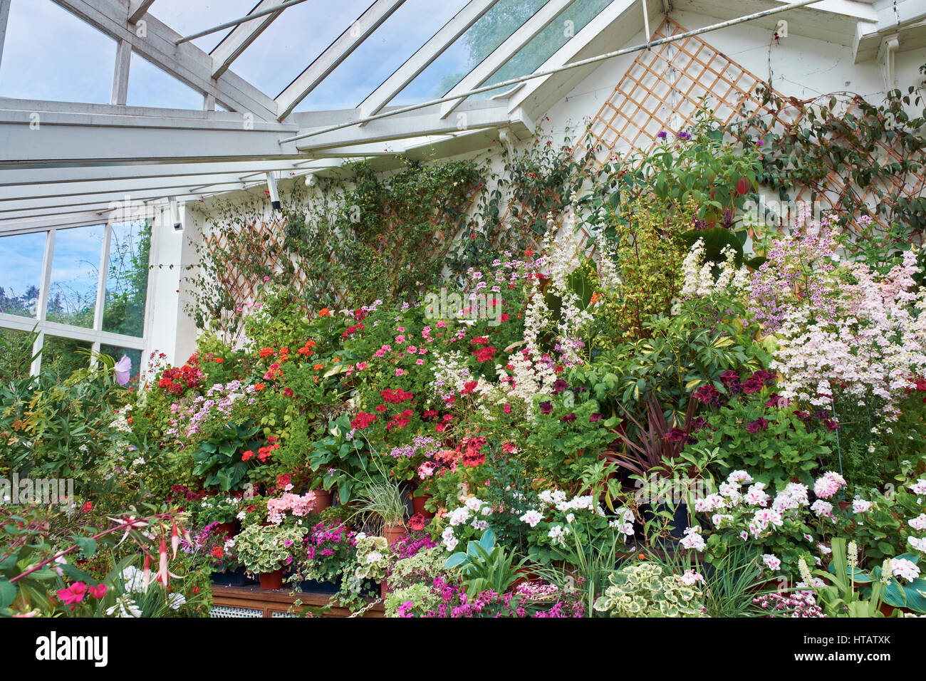 Conservatory with a large display of flowers at the Balmoral Castle ...