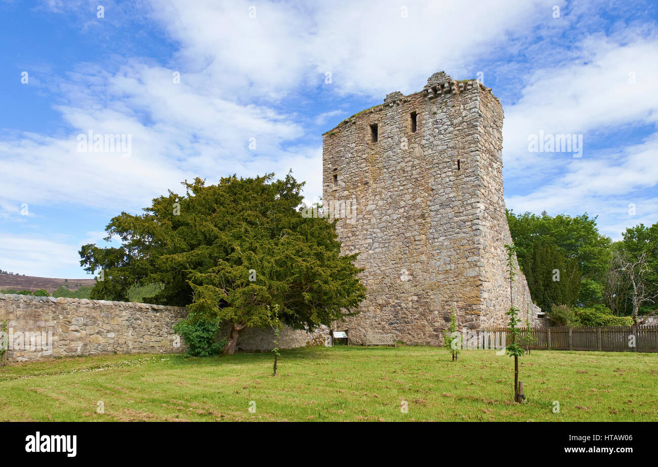 The ruins of Drumin Castle. Once owned by Alexander Stewart, The Wolf ...