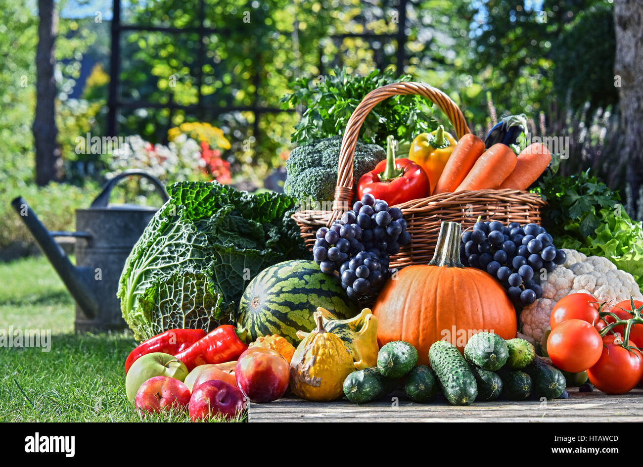 Variety of fresh organic vegetables and fruits in the garden. Balanced ...