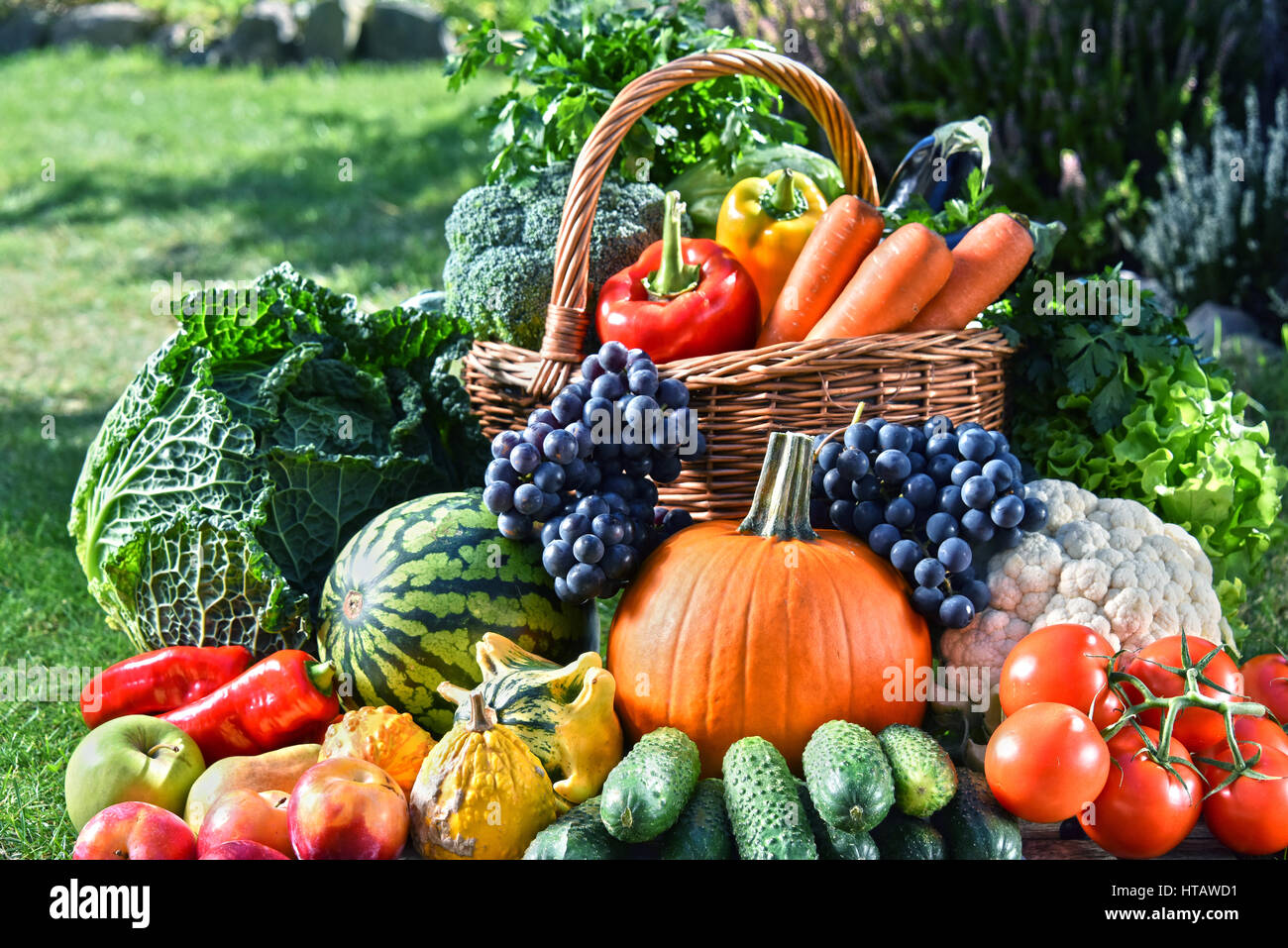 Variety of fresh organic vegetables and fruits in the garden. Balanced ...