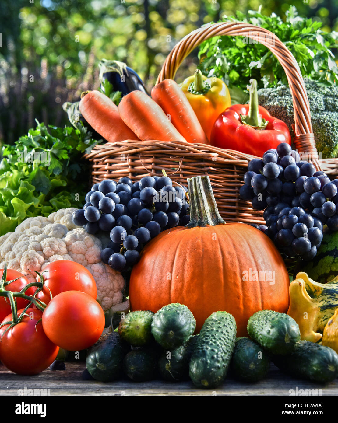 Variety of fresh organic vegetables and fruits in the garden. Balanced ...