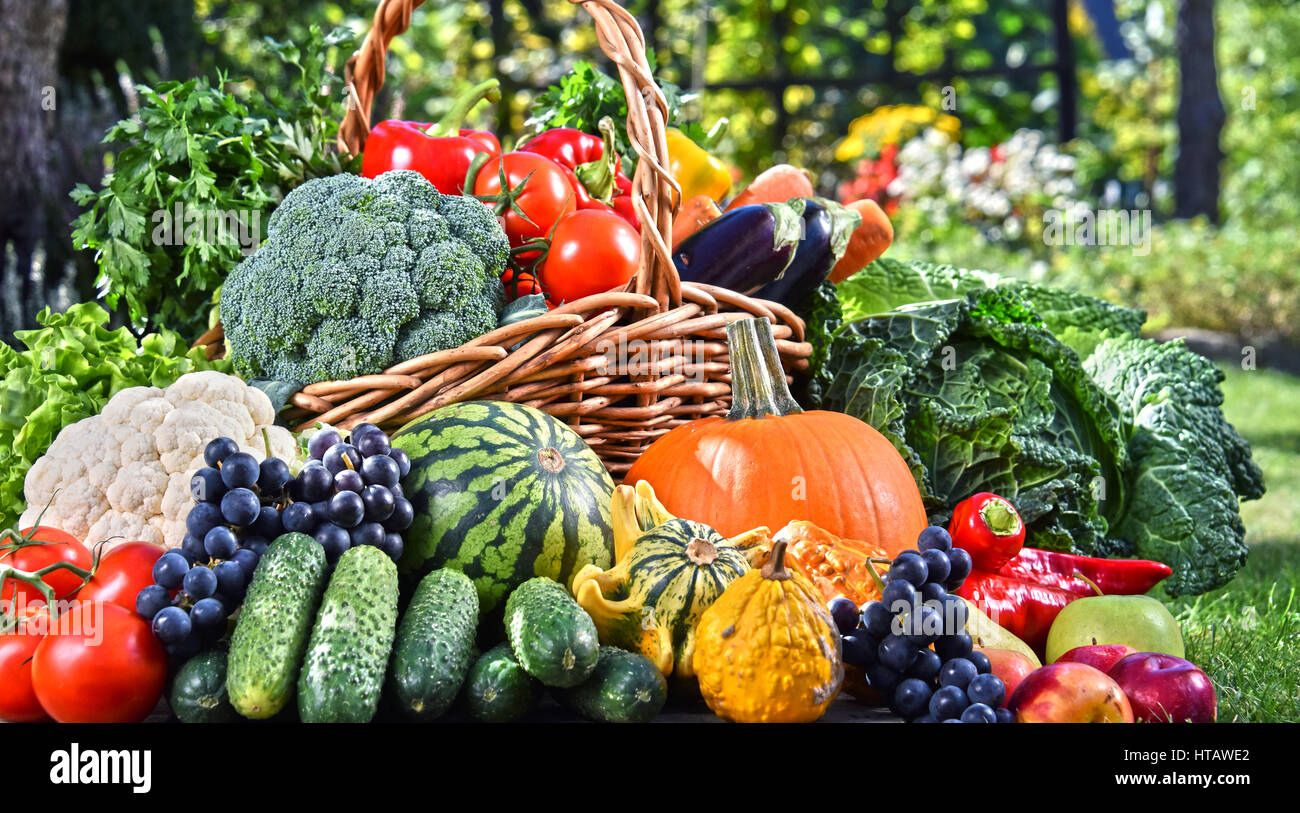 Variety of fresh organic vegetables and fruits in the garden. Balanced ...