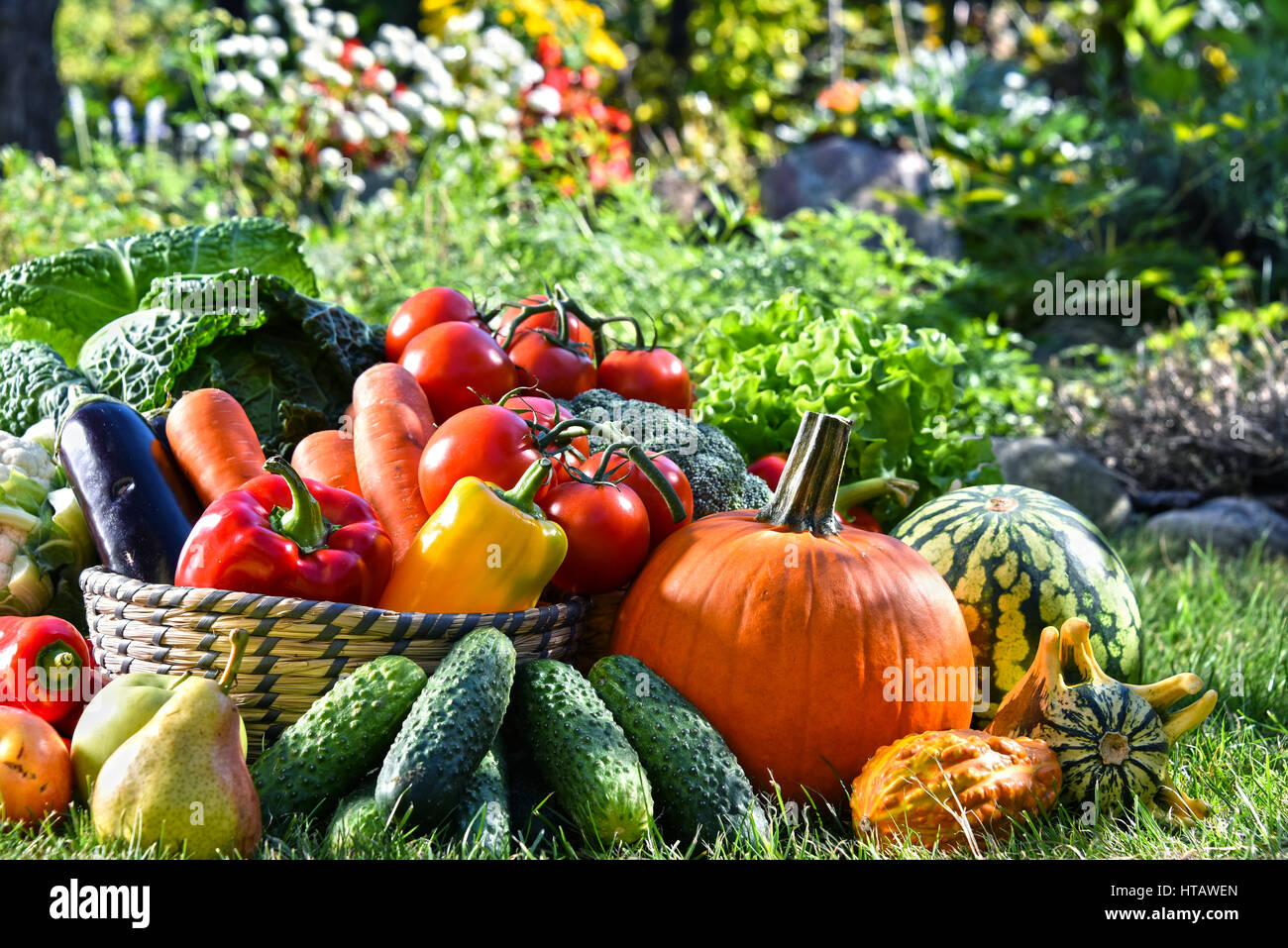 Variety of fresh organic vegetables and fruits in the garden. Balanced ...