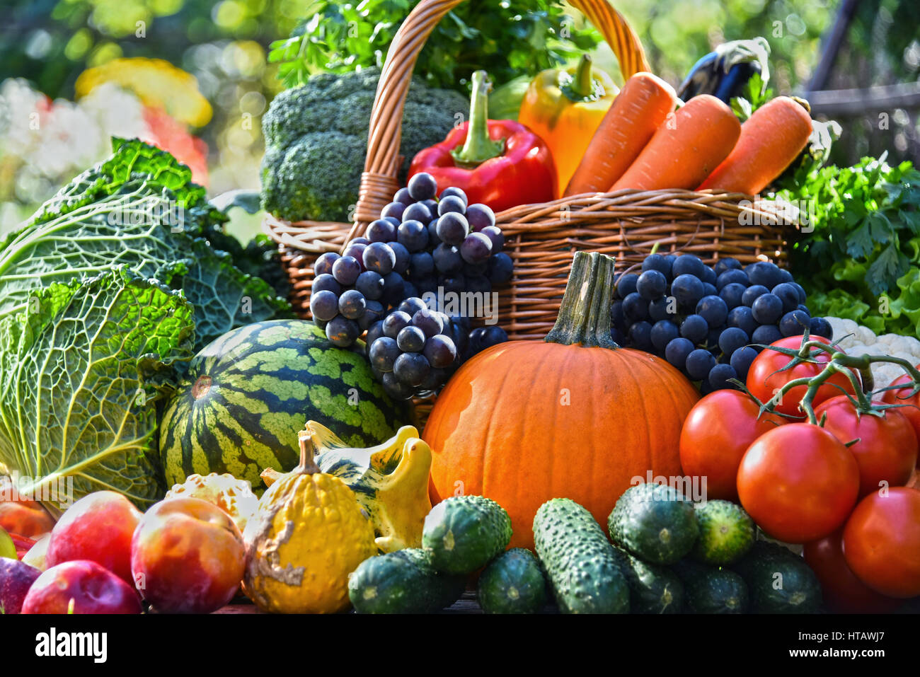 Variety of fresh organic vegetables and fruits in the garden. Balanced ...
