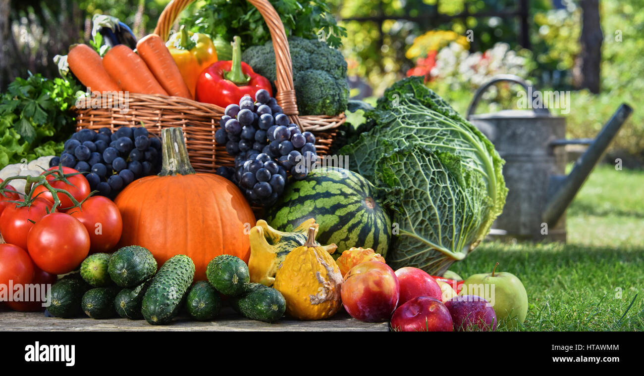 Variety of fresh organic vegetables and fruits in the garden. Balanced ...