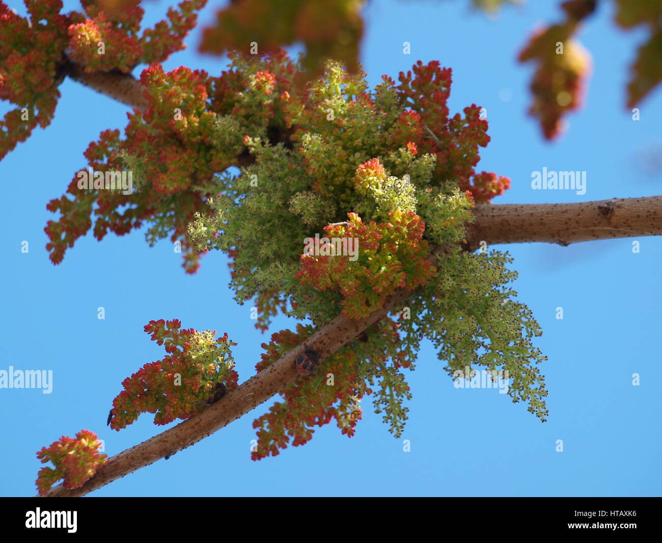 Spring at the Lake Stock Photo - Alamy