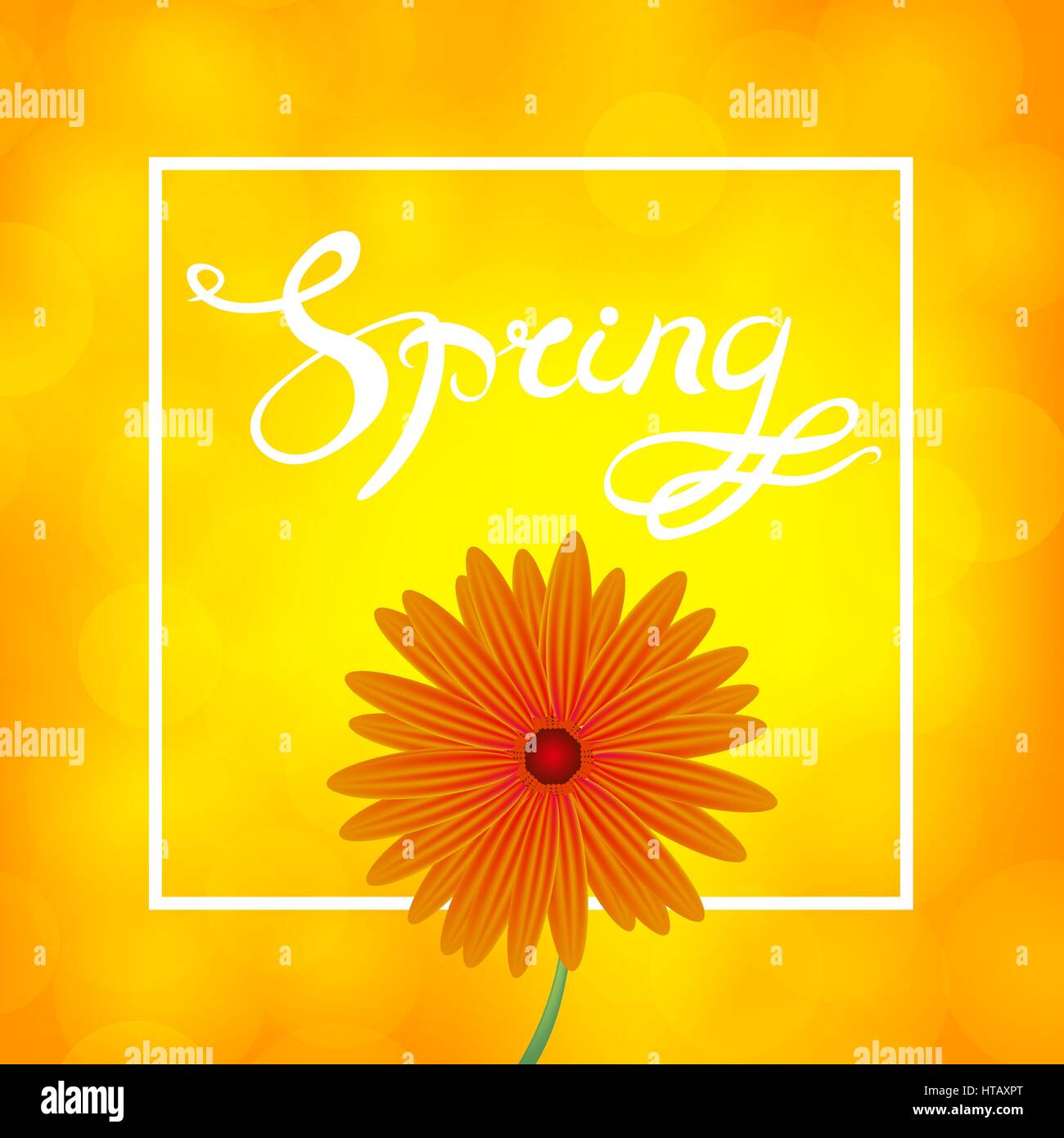 Spring Lettering Design Stock Vector Image & Art - Alamy
