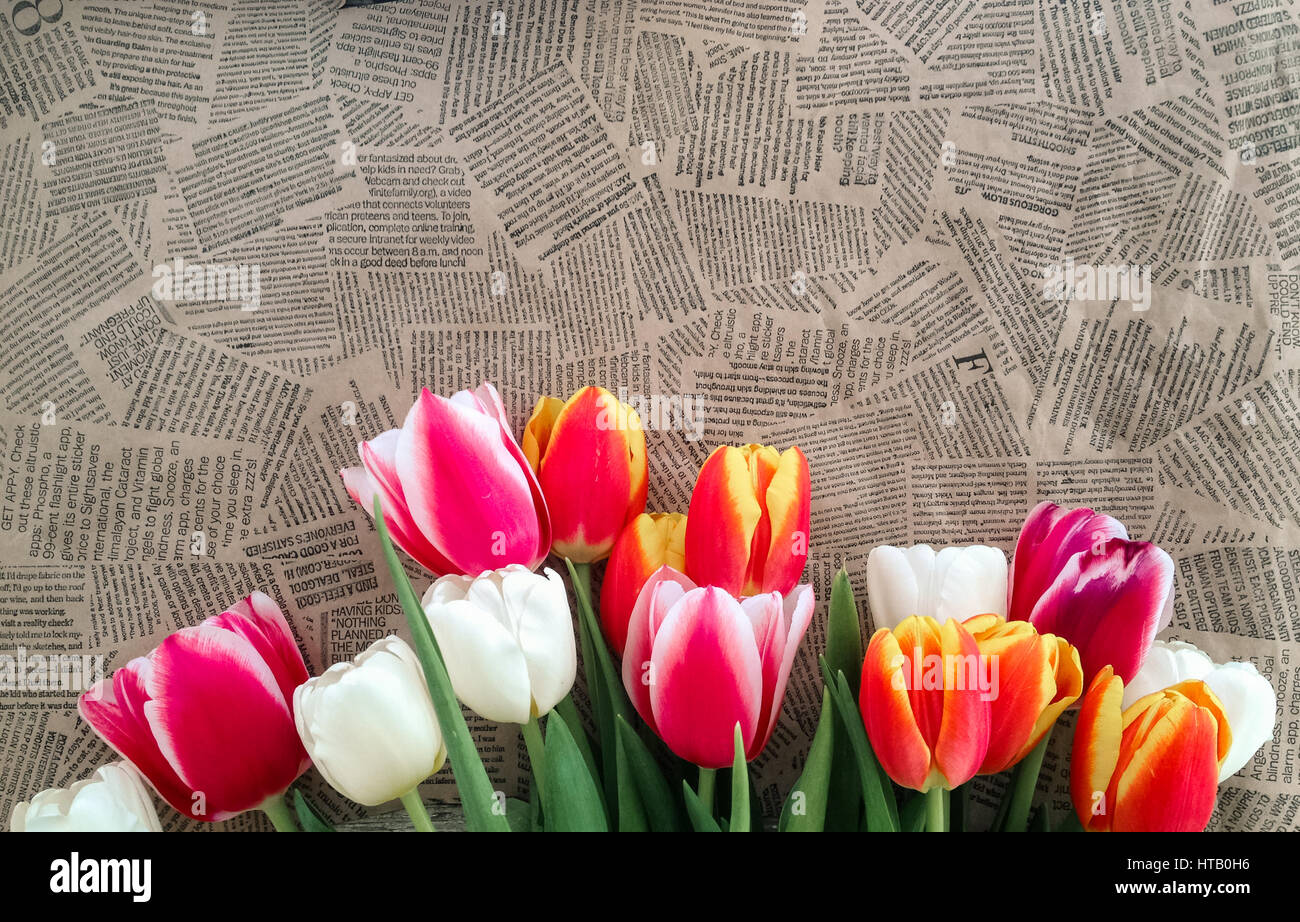 Tulips flowers bunch on Vintage newspaper background. Empty space for ...