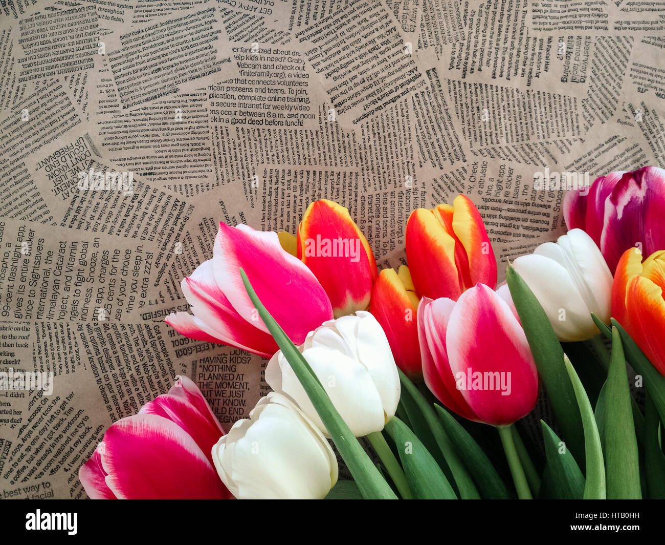 Tulips flowers bunch on Vintage newspaper background. Empty space for ...