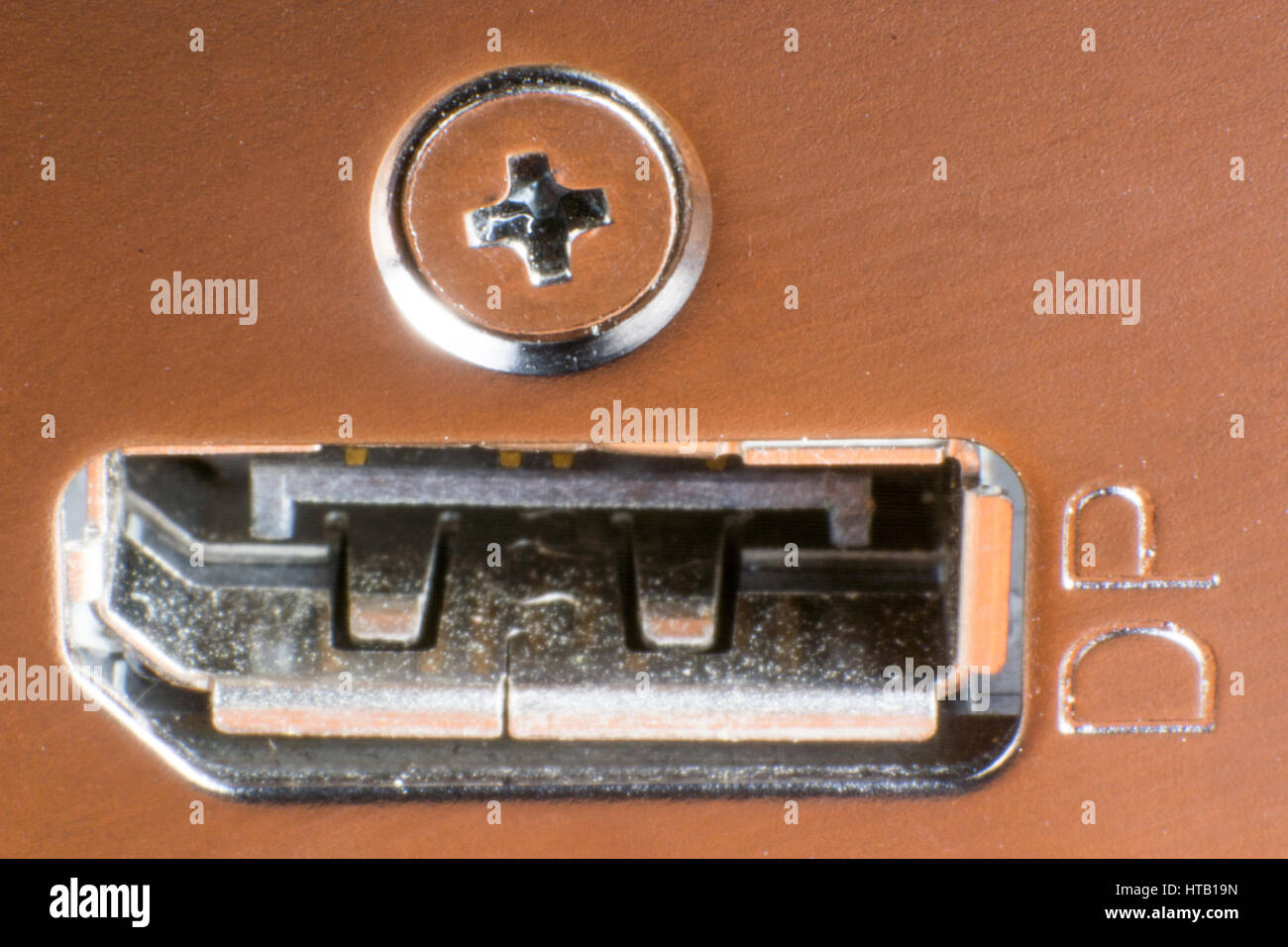 Macro shot of a female Display port connector on the metal plate ...