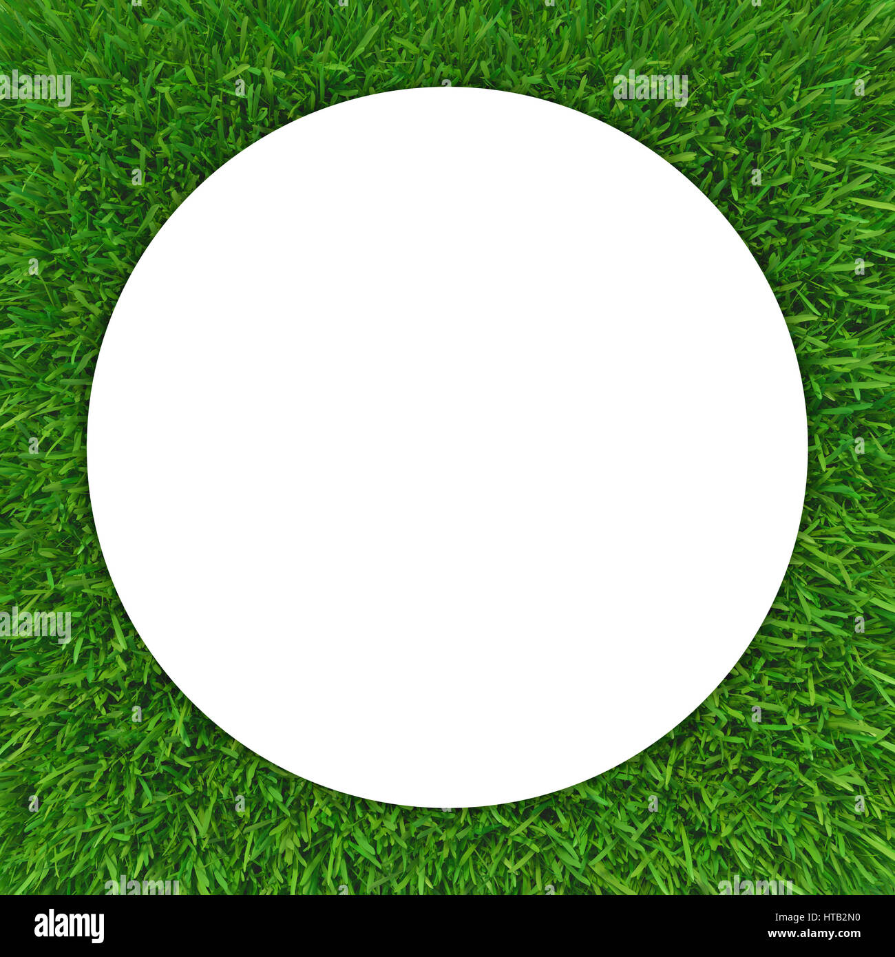 Grass frame. White circle copy space. 3d rendering Stock Photo - Alamy