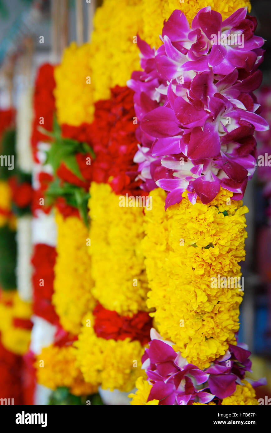 Indian flower garland hi-res stock photography and images - Alamy
