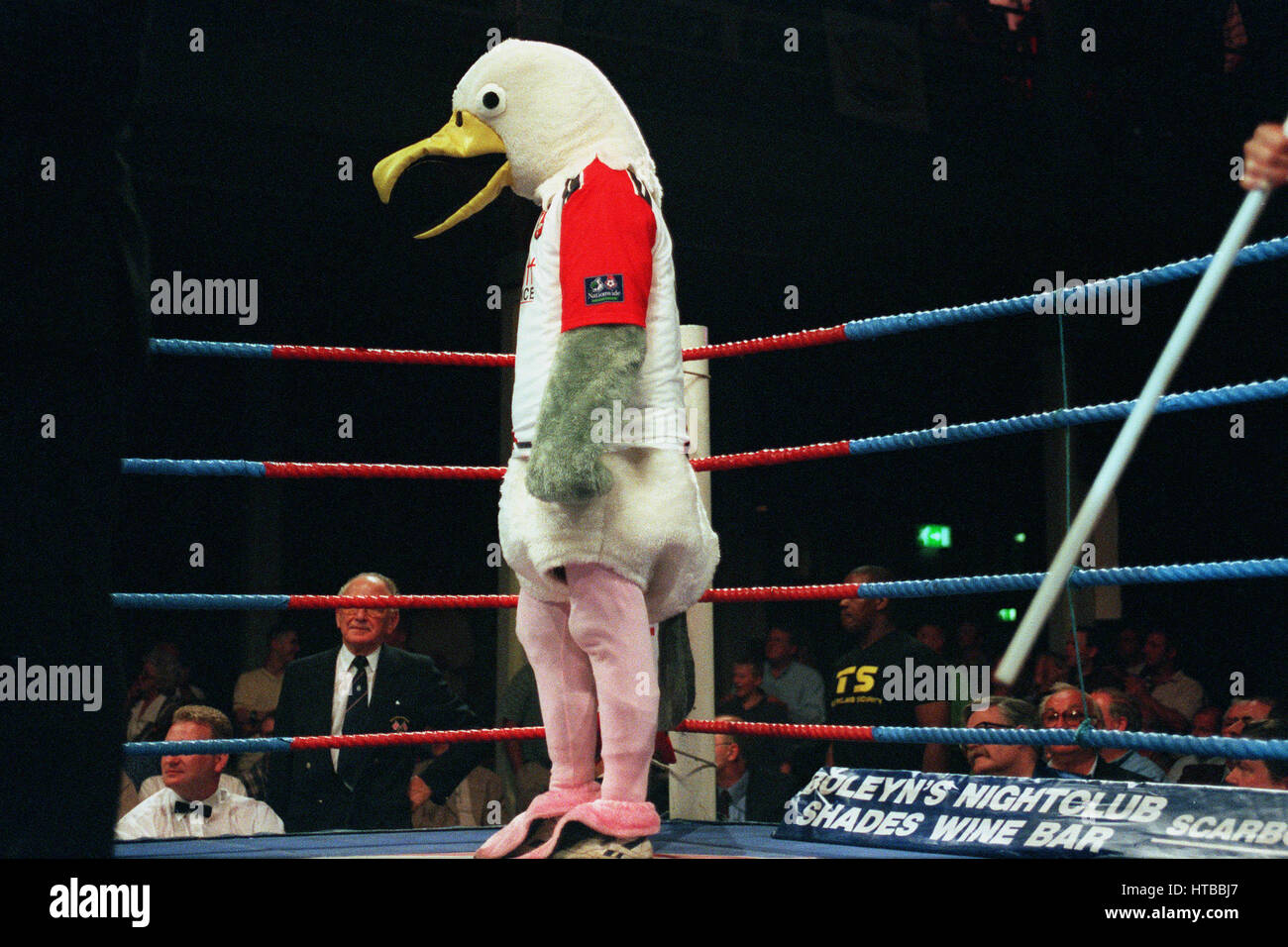 Seagull mascot hi-res stock photography and images - Alamy