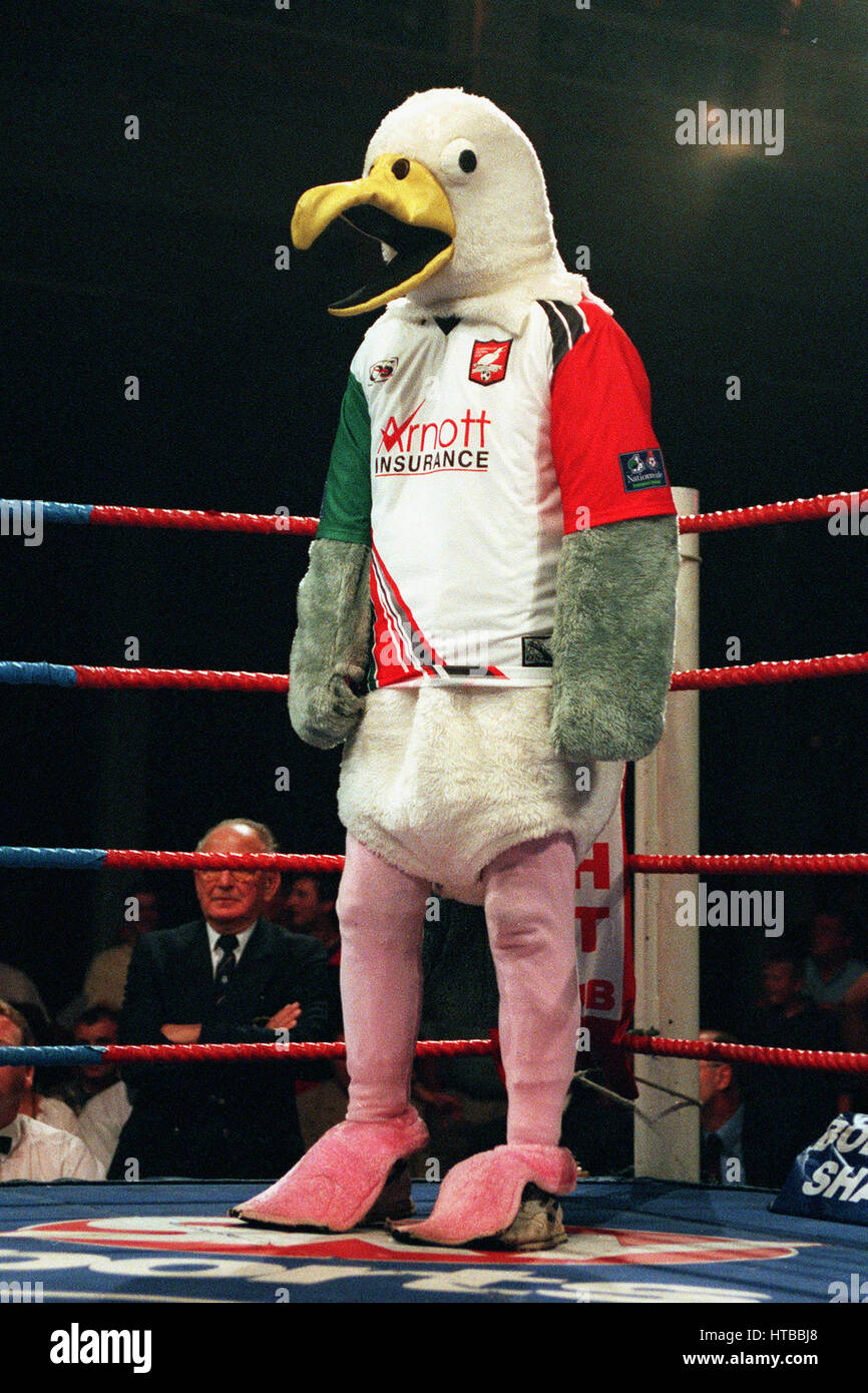 Seagull mascot hi-res stock photography and images - Alamy