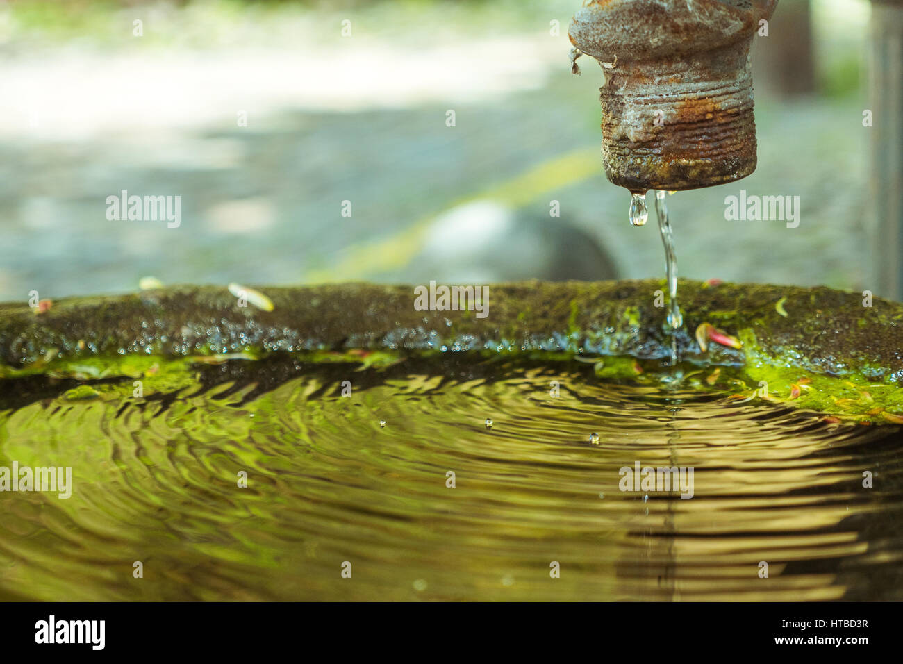 Macro shot of a water drop falling down from a pipe to a pool Stock ...