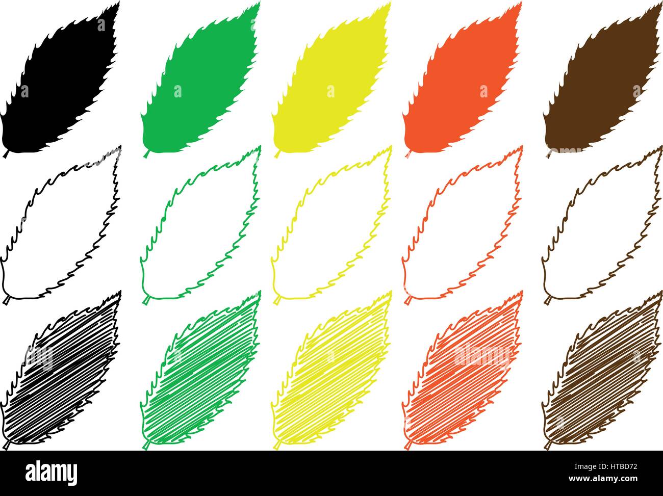 Yellow chestnut Stock Vector Images - Alamy