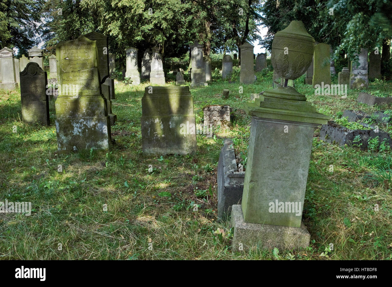 Mennonite graveyard in village of Stogi in Zulawy fens depression ...